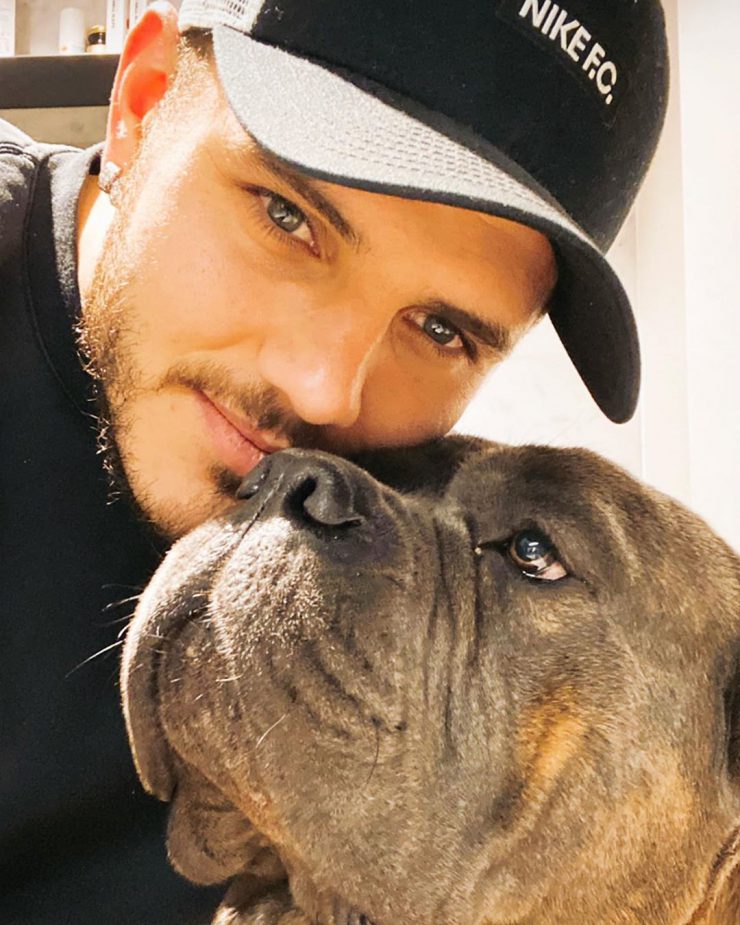 Tano Icardi, el perro influencer de Wanda Nara, también estrenó casa ...